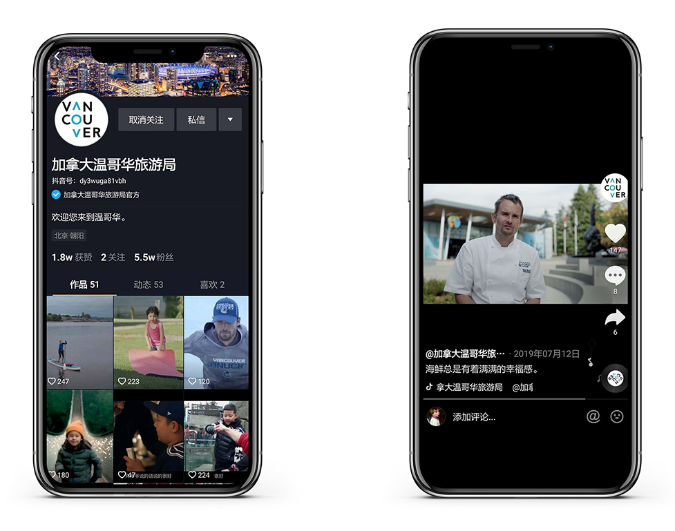 Mister Rogers Vibes and Chinese Celebrity, Success on TikTok and Douyin ...