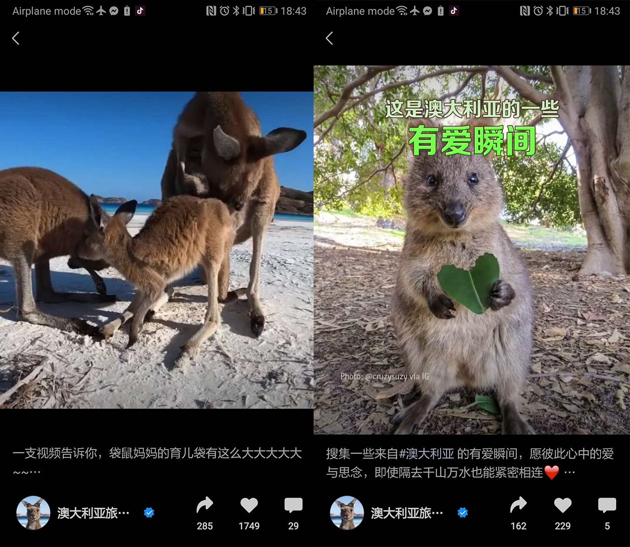 How Tourism Stakeholders Can Effectively Leverage WeChat Channels ...