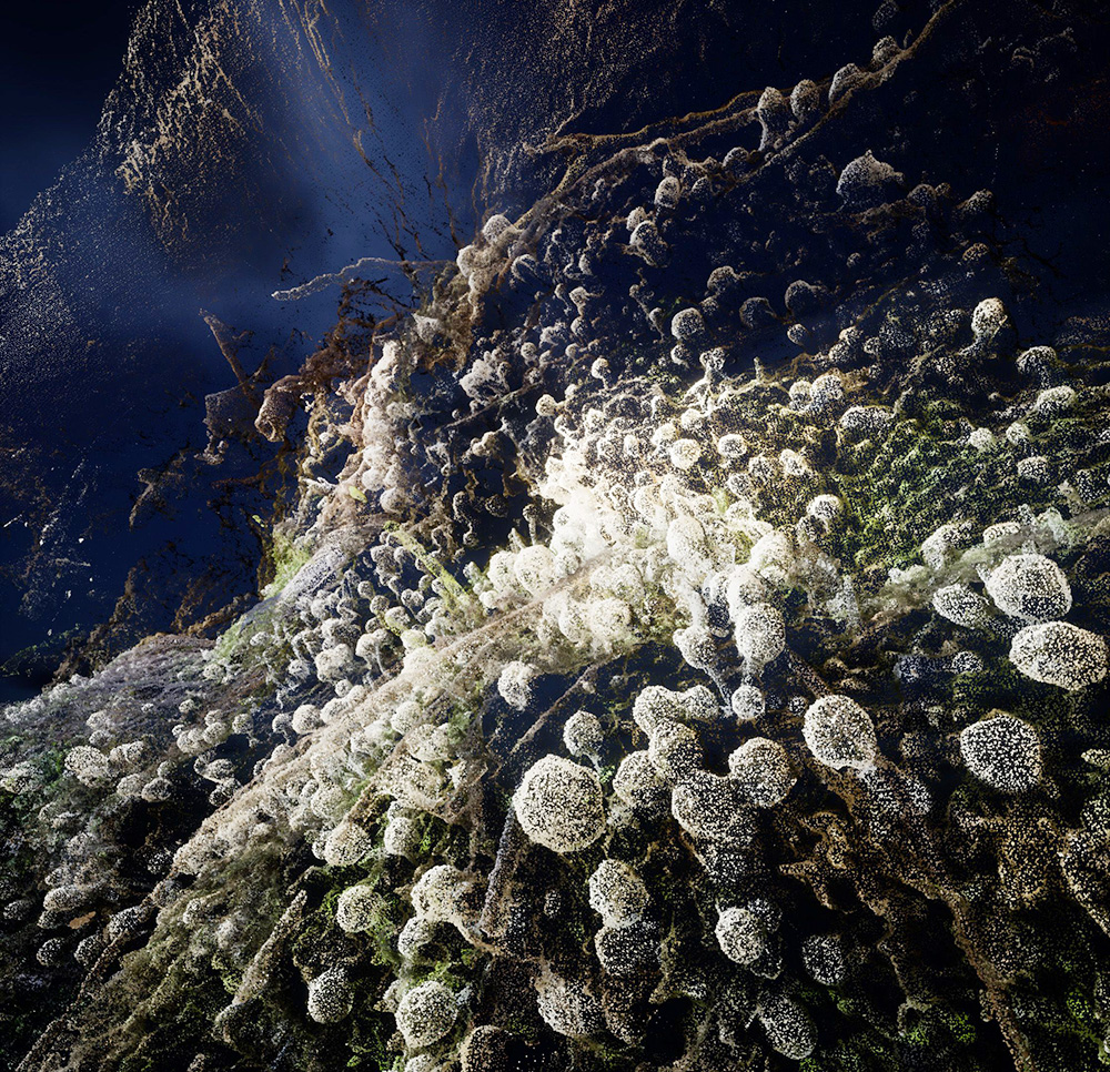 At Berl-Berl, Immersive Technology Brings To Life An Ecological Message ...