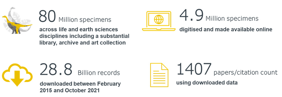 London's Natural History Museum Reveals Why It Pays To Digitize - Jing ...