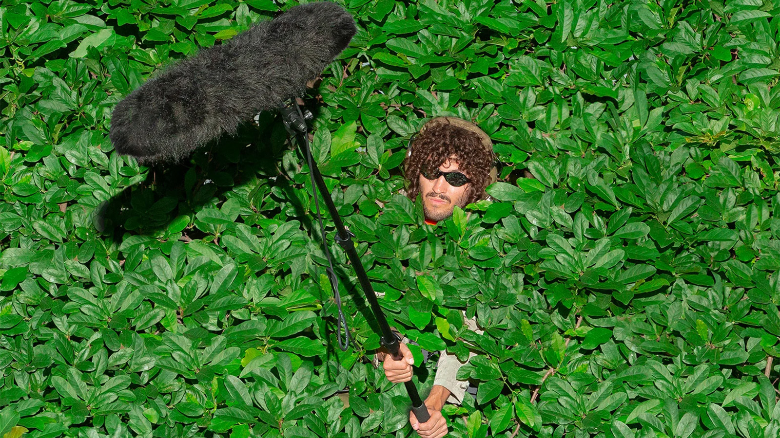 Meet Audius, The Spotify Of Web3 Bent On Revolutionizing The Music ...