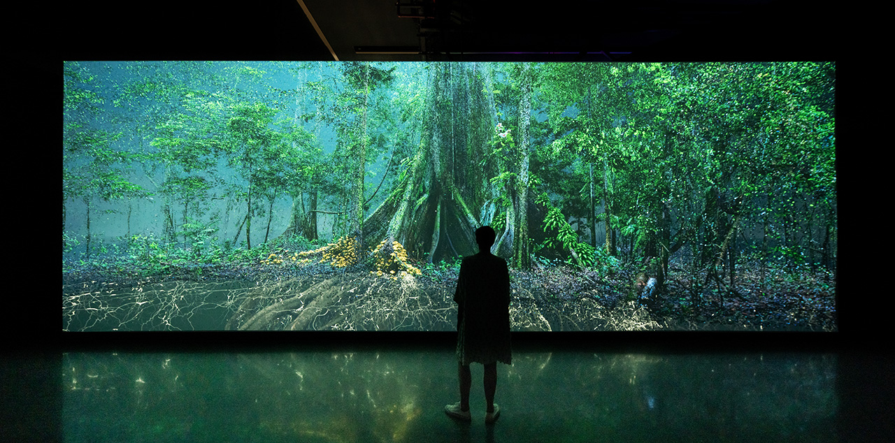 Museum Of The Future's Immersive Experiences Are Ecological Ones Too ...