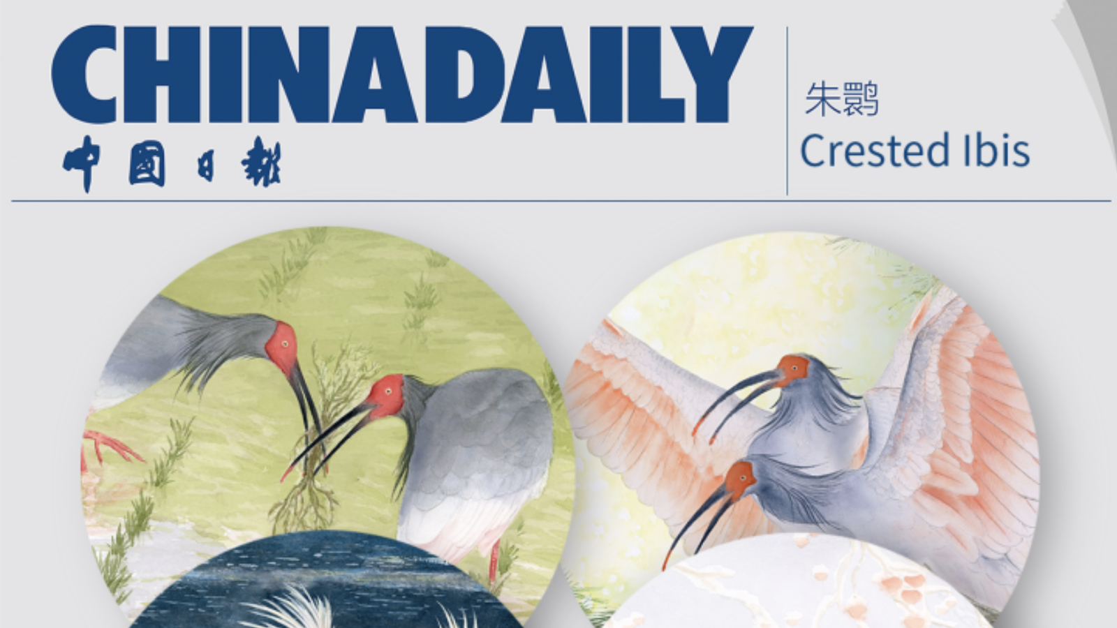 How Digital Collectibles Are Helping China Protect Endangered Species ...